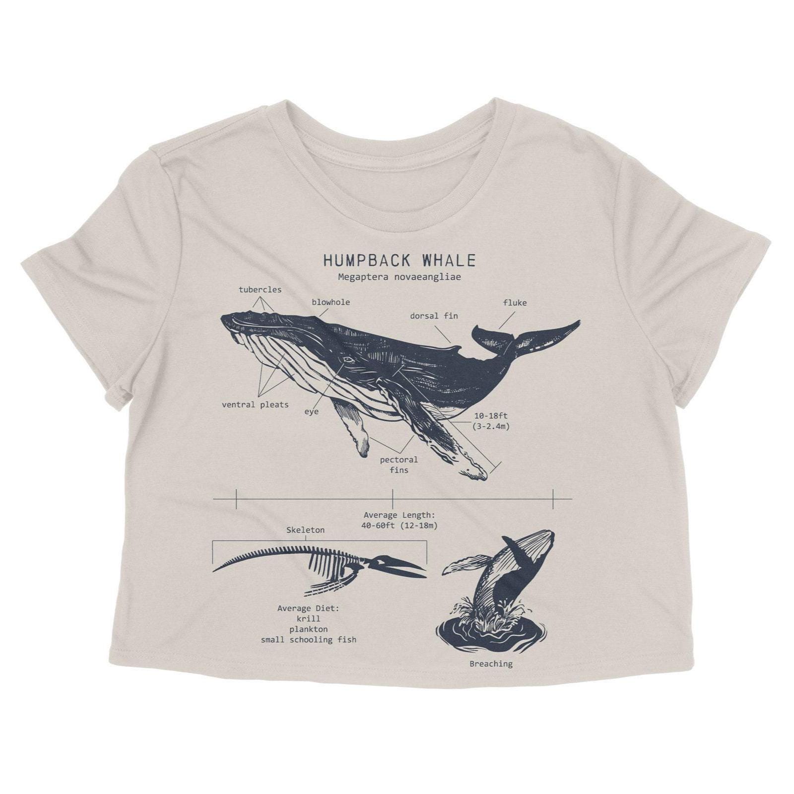 Humpback Whale Anatomy Crop Top, Humpback Whale Crop Top, Marine ...