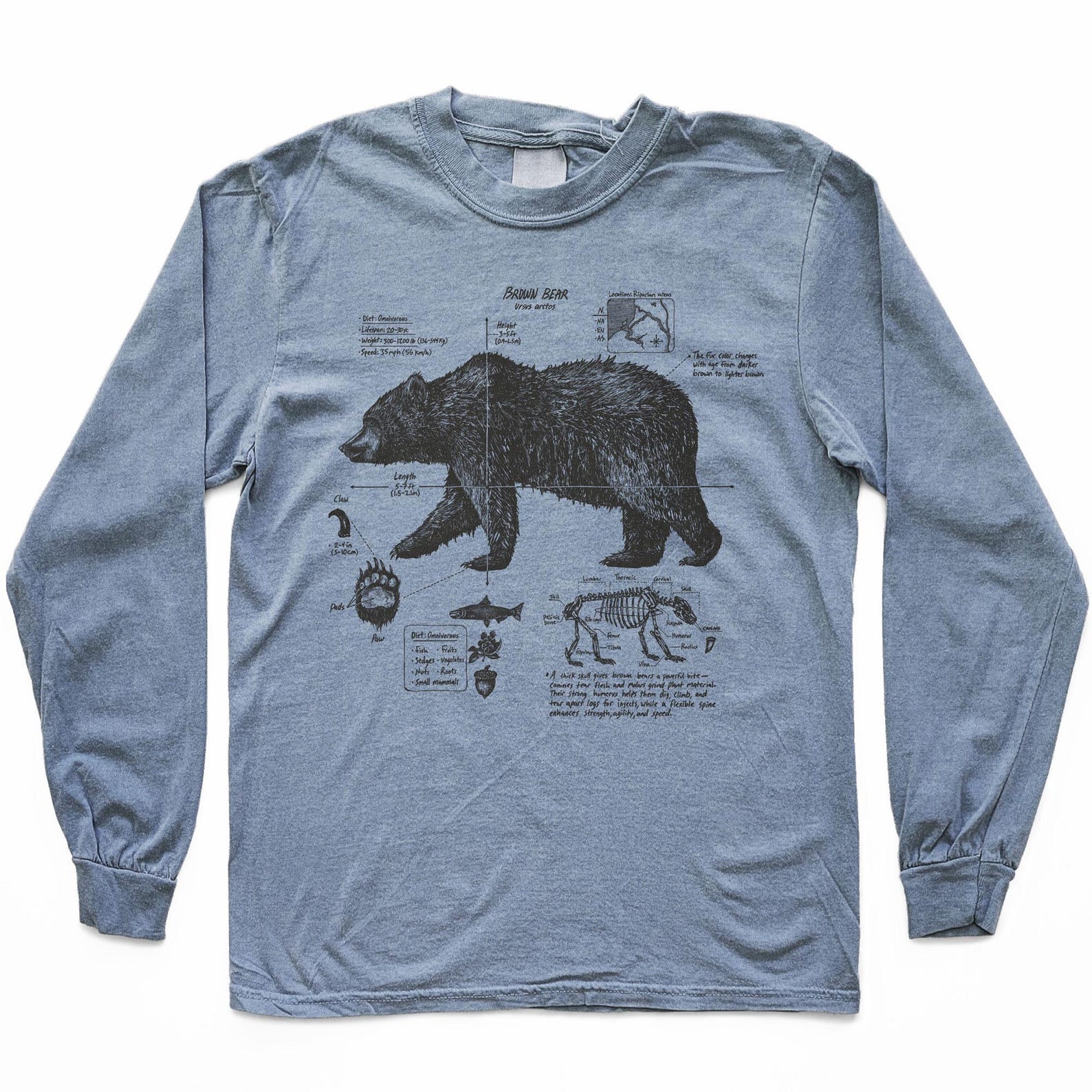 Brown Bear Anatomy Long Sleeve: Bear Biology Drawing Hand Screen ...
