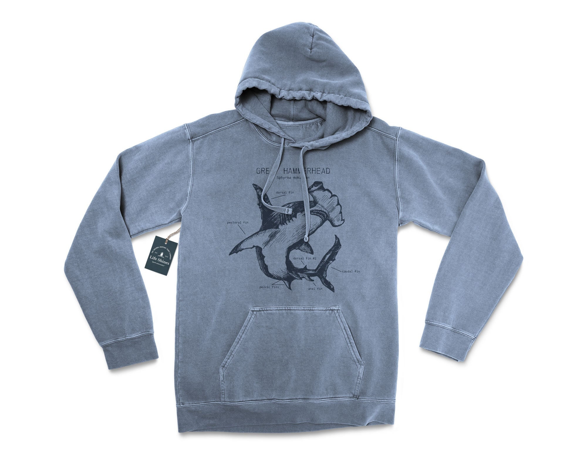 Hammerhead Anatomy Hoodie Hammerhead Shark Hoodie Hammerhead - Etsy