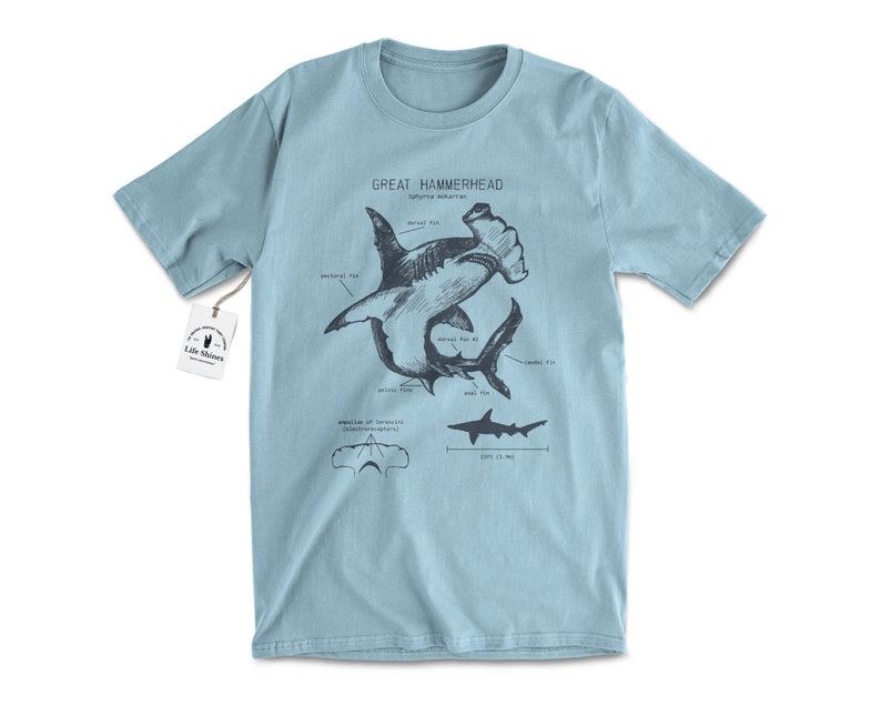 Great Hammerhead Anatomy T-shirt Hammerhead Shark T Shirt - Etsy