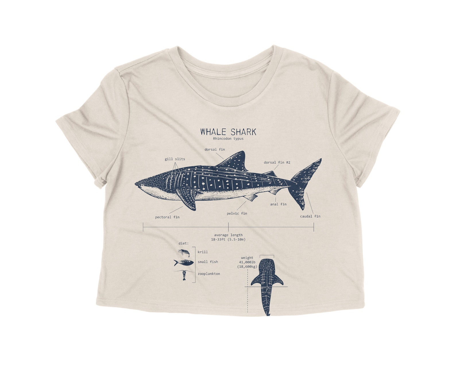 Whale Shark Anatomy Crop Top Ladies Shark Shirt Shark Crop | Etsy