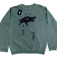 Embroidered Wombat Sweatshirt, Peeking Animal Sweater - Etsy