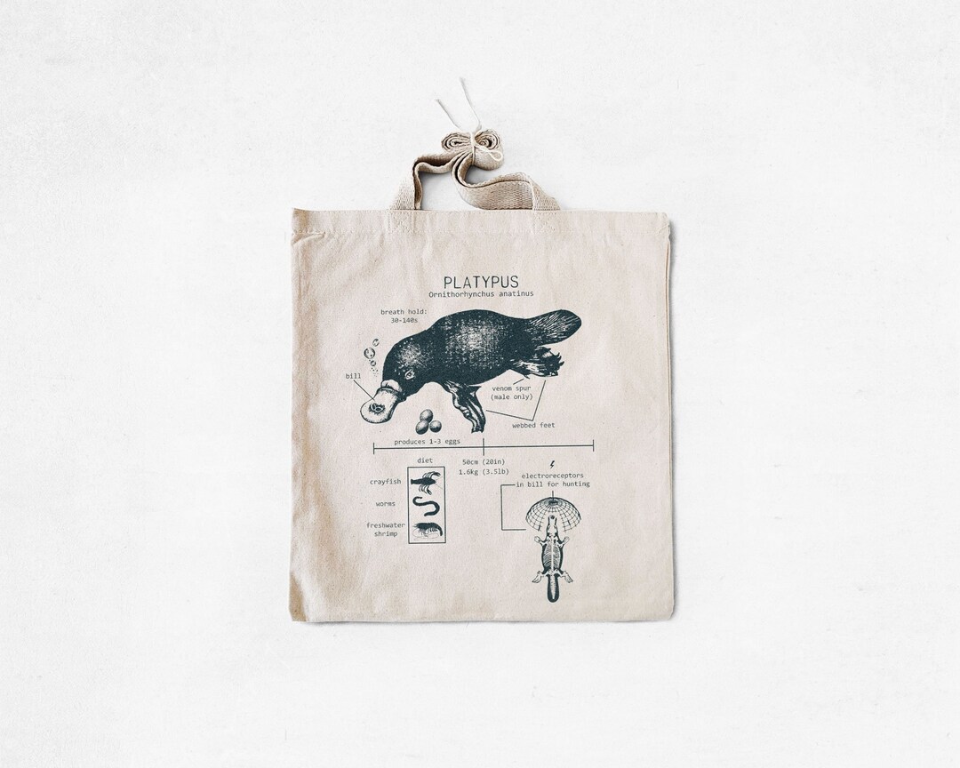 Platypus Anatomy Tote Bag, Platypus Screen Printed Tote Bag, Platypus ...