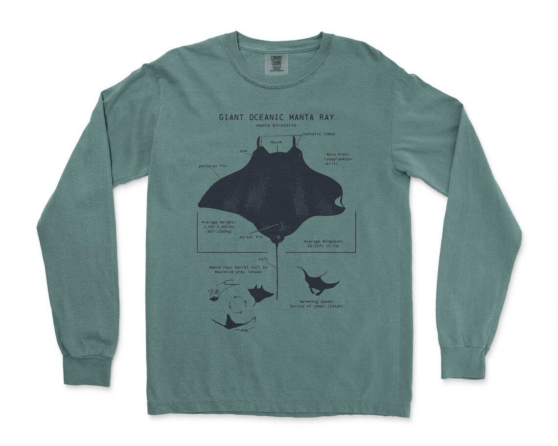 Manta Ray Anatomy Long Sleeve Manta Ray Shirt Marine Biology - Etsy