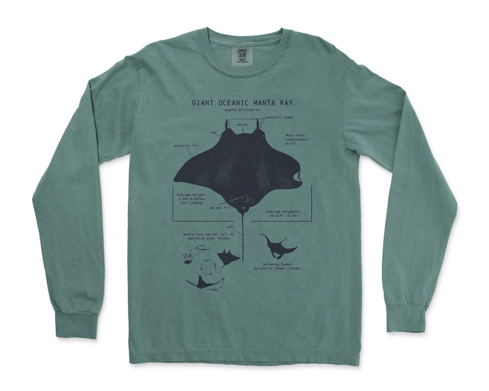 Manta Ray Anatomy Long Sleeve Manta Ray Shirt Marine Biology - Etsy