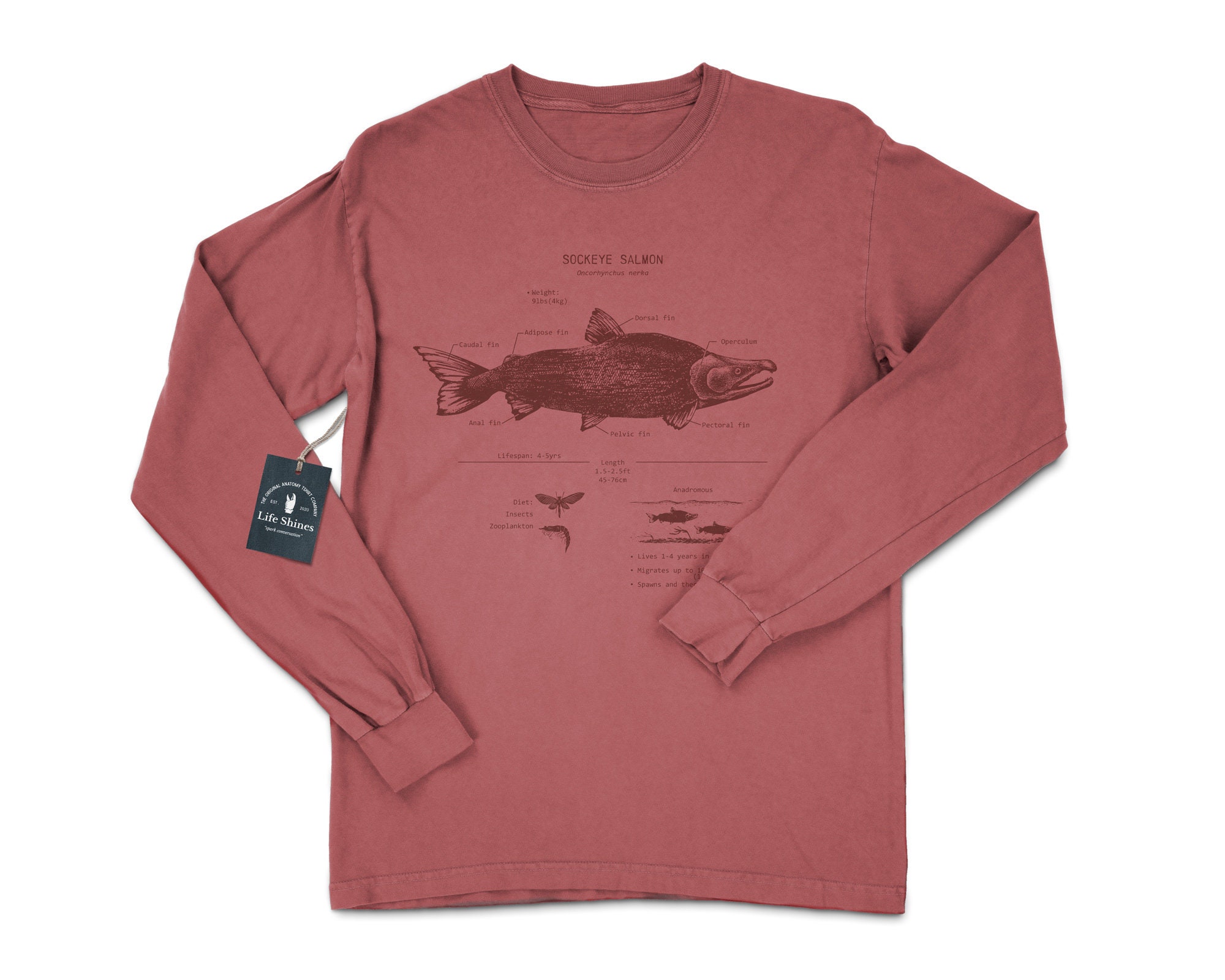 Salmon Anatomy Long Sleeve Alaskan Sockeye Salmon Long Sleeve - Etsy