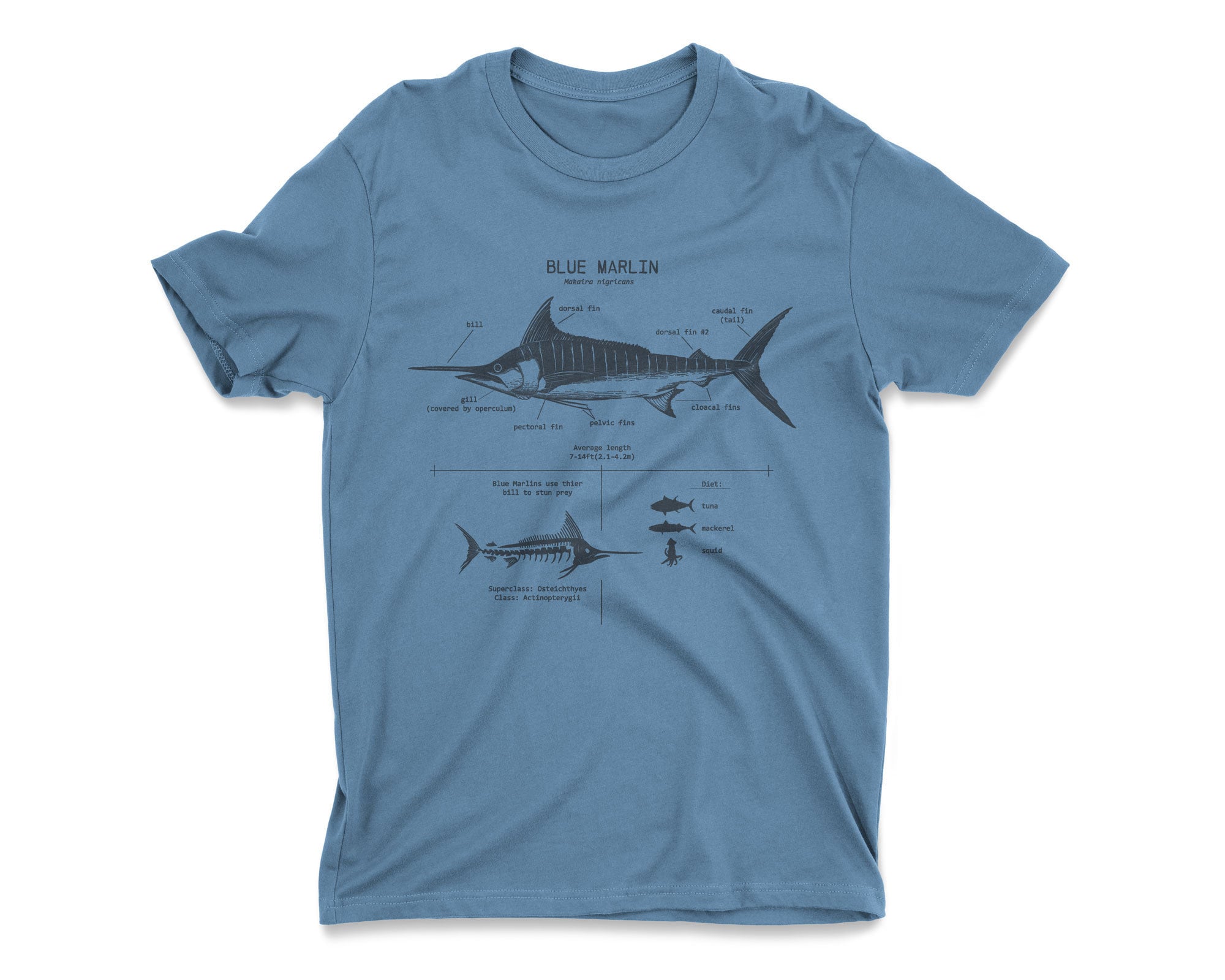 Blue Marlin Anatomy T Shirt Blue Marlin T Shirt Marine - Etsy