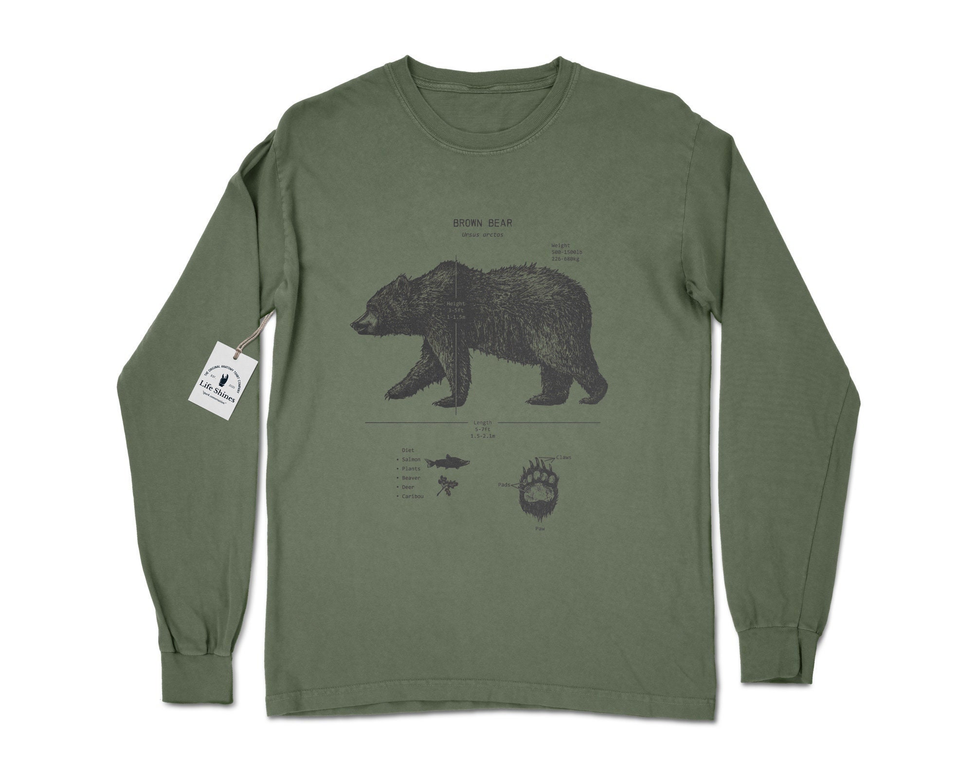 Brown Bear Anatomy Long Sleeve Grizzly Bear Long Sleeve - Etsy