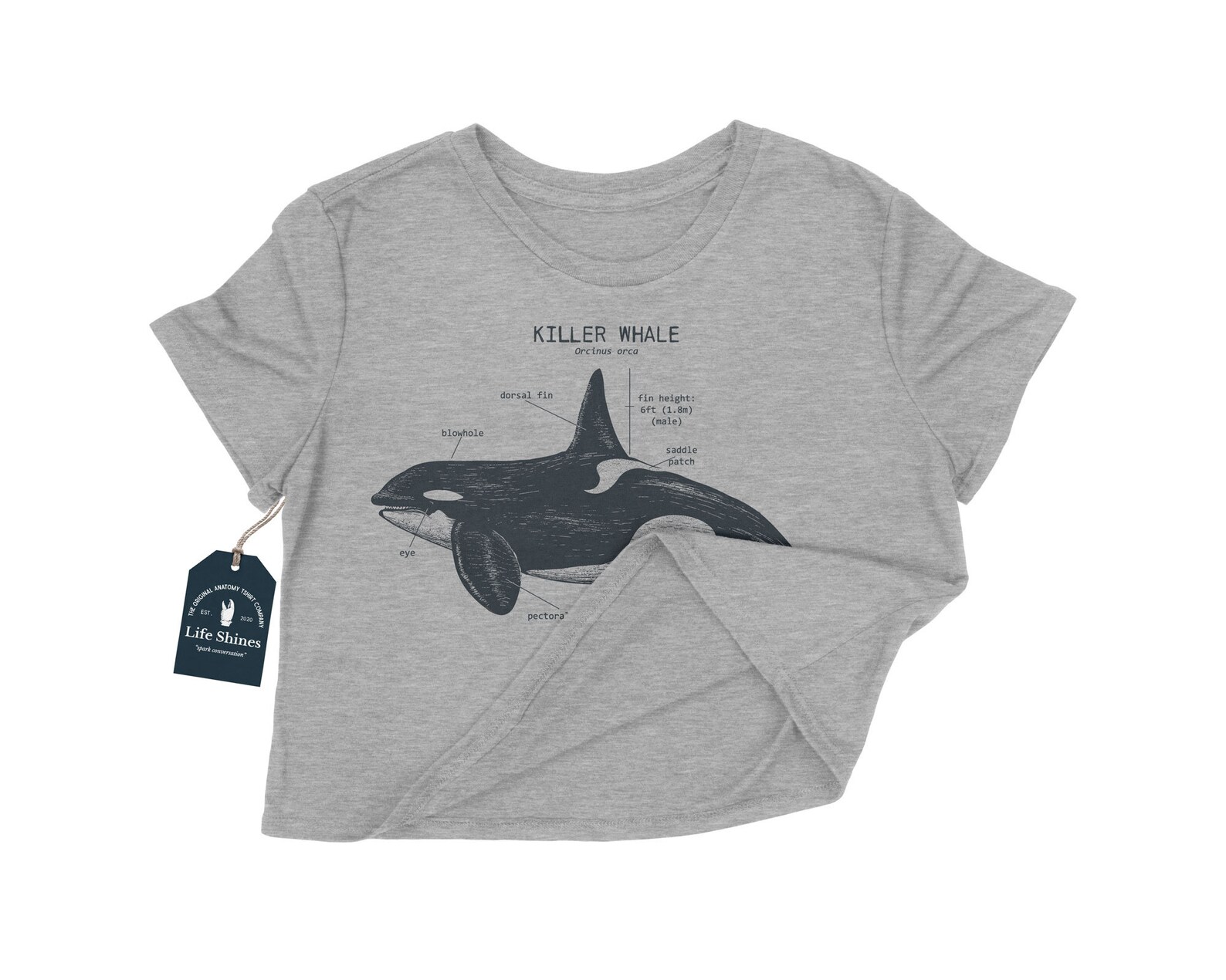 Killer Whale Anatomy Crop Top Orca Top Marine Biologist - Etsy