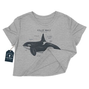 Killer Whale Anatomy Crop Top, Orca Top, Marine Biologist Shirt ...