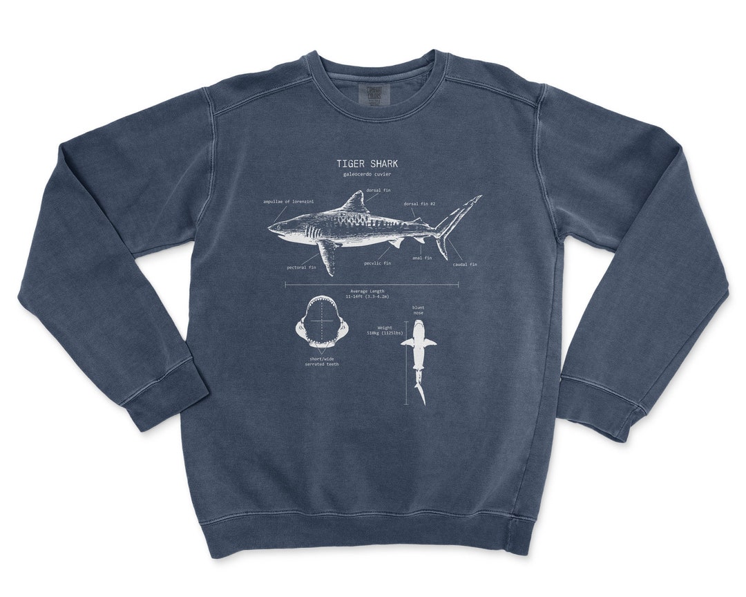 Tiger Shark Anatomy Sweatshirt, Marine Biology Sweatshirt Shark Shirt ...