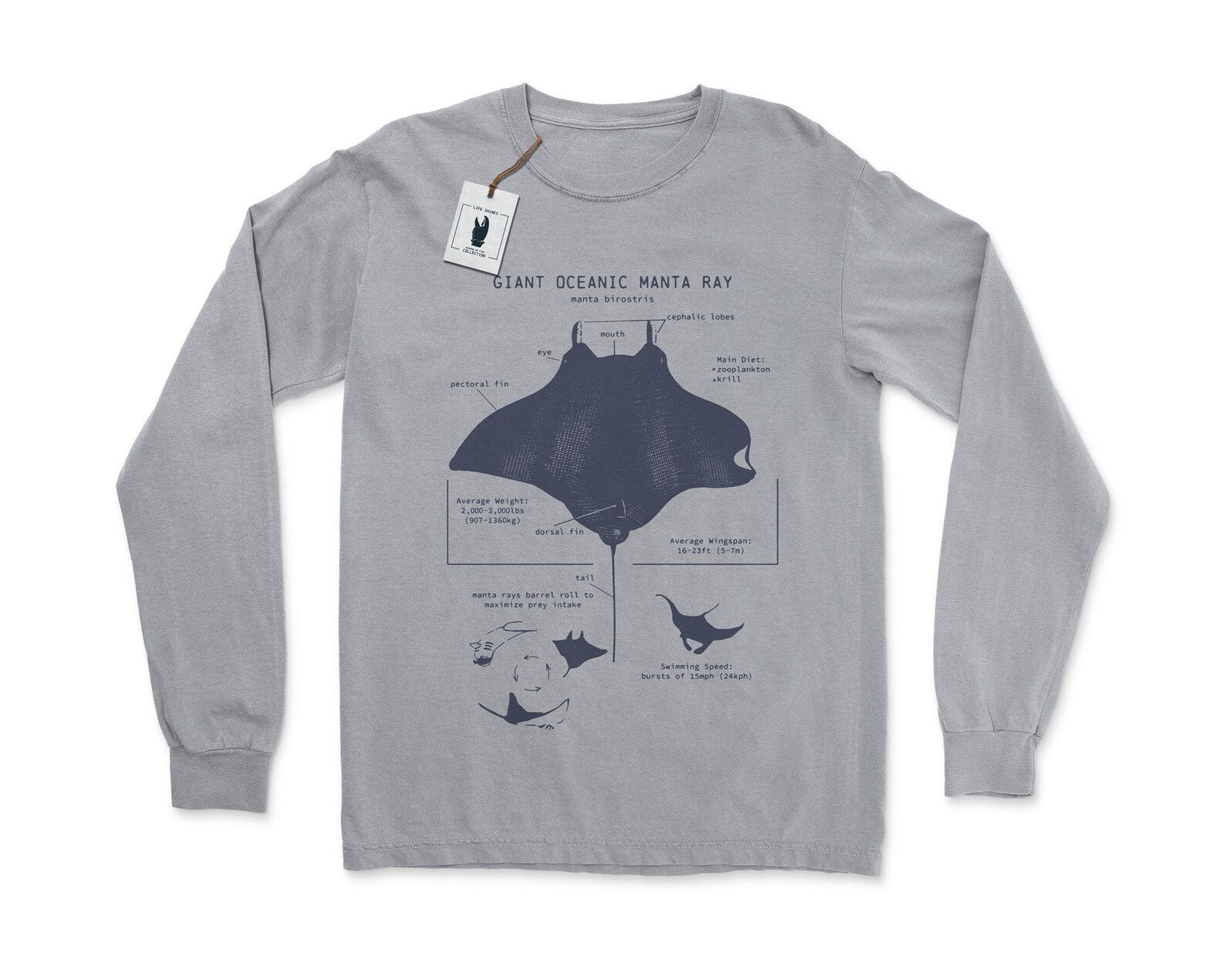 Manta Ray Anatomy Long Sleeve Manta Ray Shirt Marine Biology - Etsy