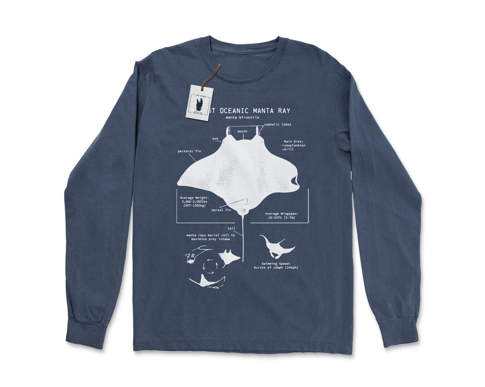 Manta Ray Anatomy Long Sleeve Manta Ray Shirt Marine Biology - Etsy
