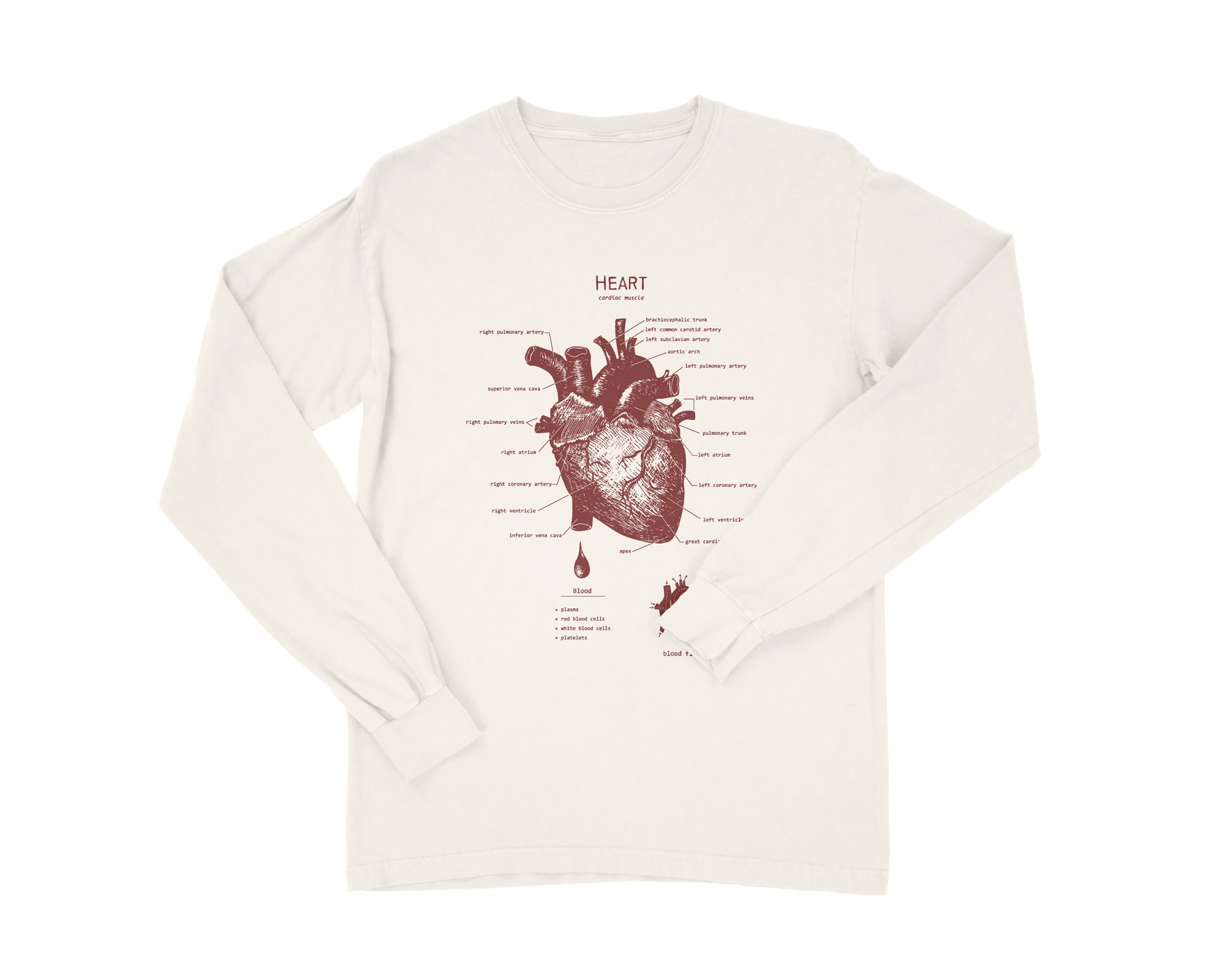 Heart Anatomy Long Sleeve Anatomical Heart Heart Shirt | Etsy