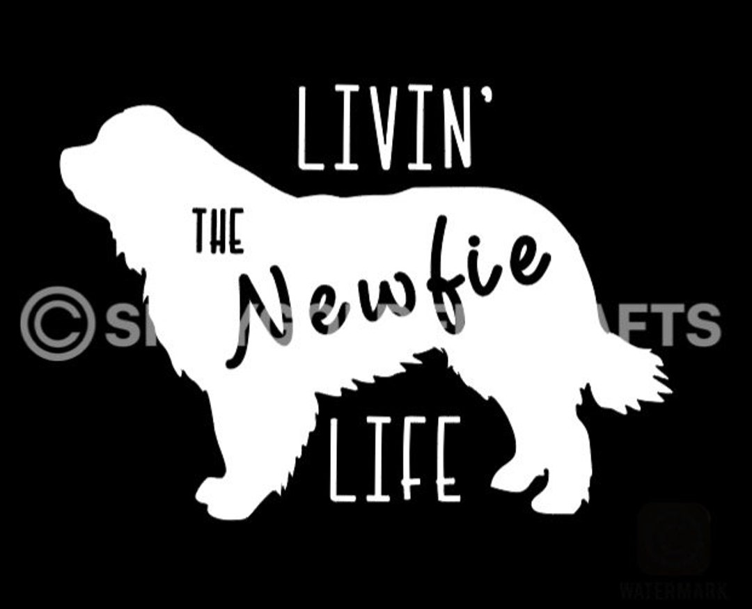 Newfoundland Decal, Newfoundland Dog, Newfie, Newfie Decal, Newfie Dog ...