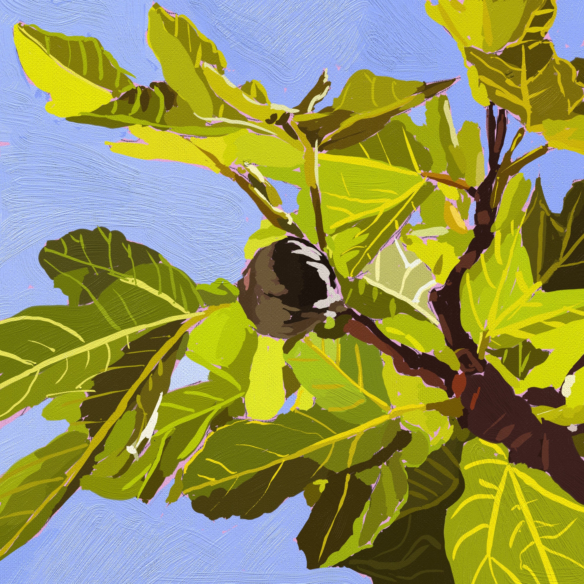 Giclee Print of Fig Tree 8"x8" - Etsy