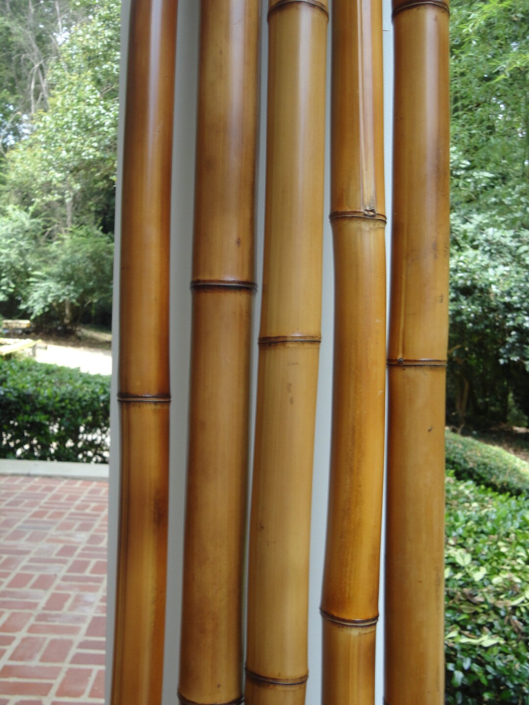 SHIBARI PREDICAMENT POLES 2 to 2.5 Diameter Lot of 2, Non-suspension, Flame Cured Bamboo Poles 2 ...