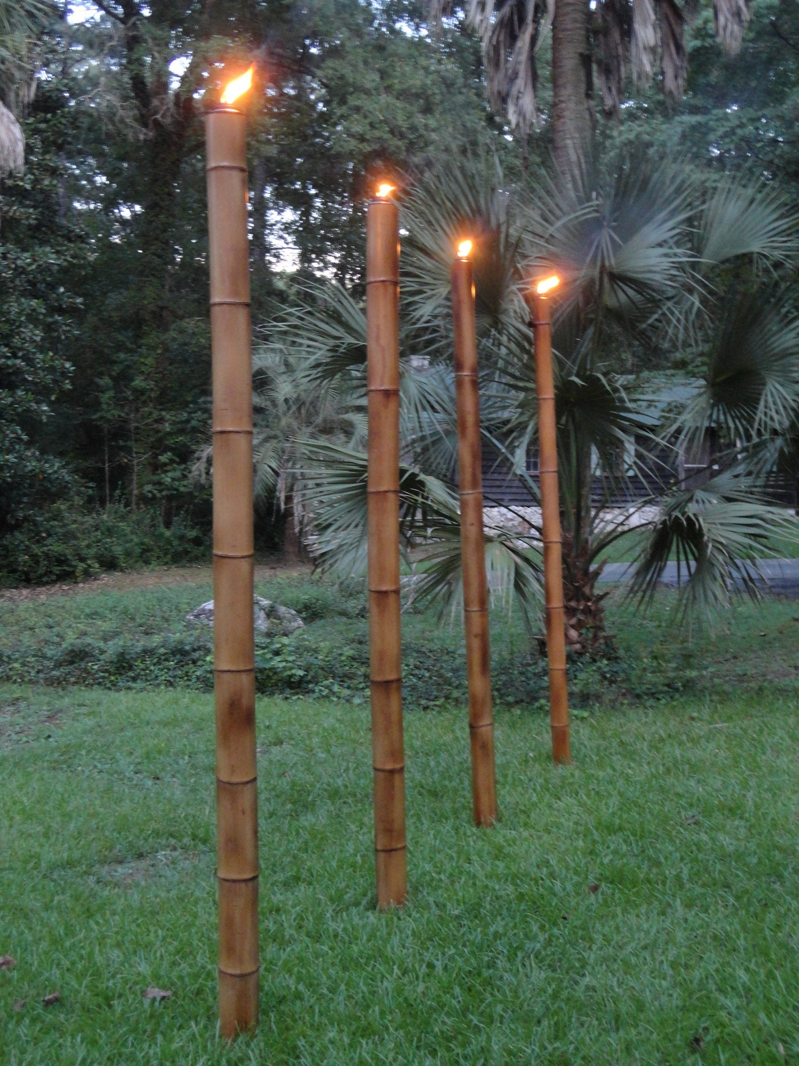 Flaming Bamboo Torch Flame Cured Bamboo Poles 4 Dia. X 7' Length ...