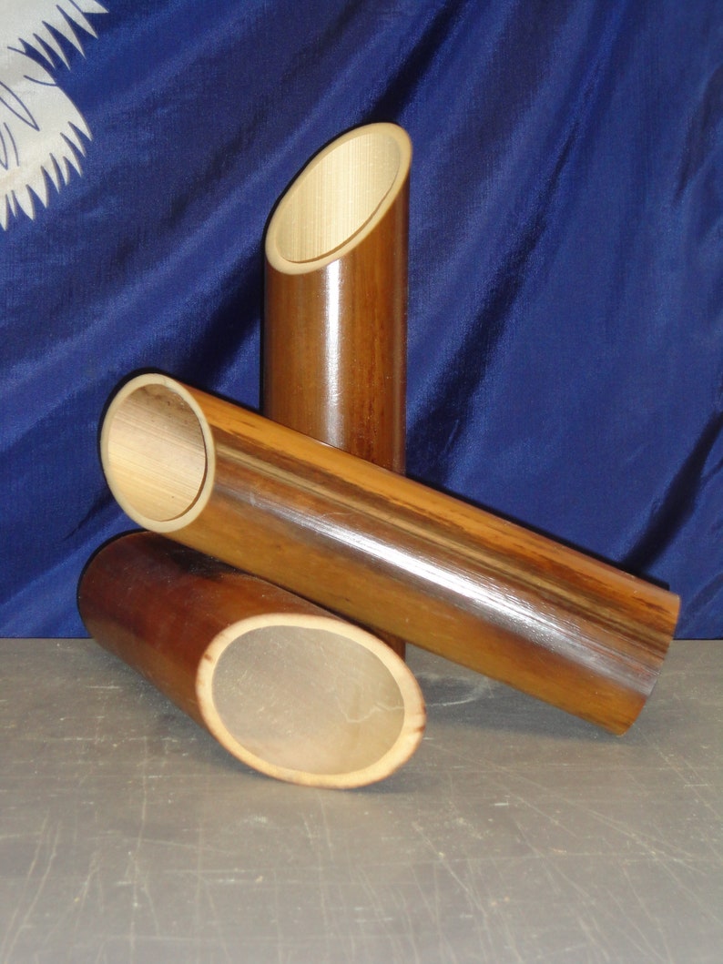 45 Degee Cut Moso Bamboo Tube Sections 3 to 4 - Etsy