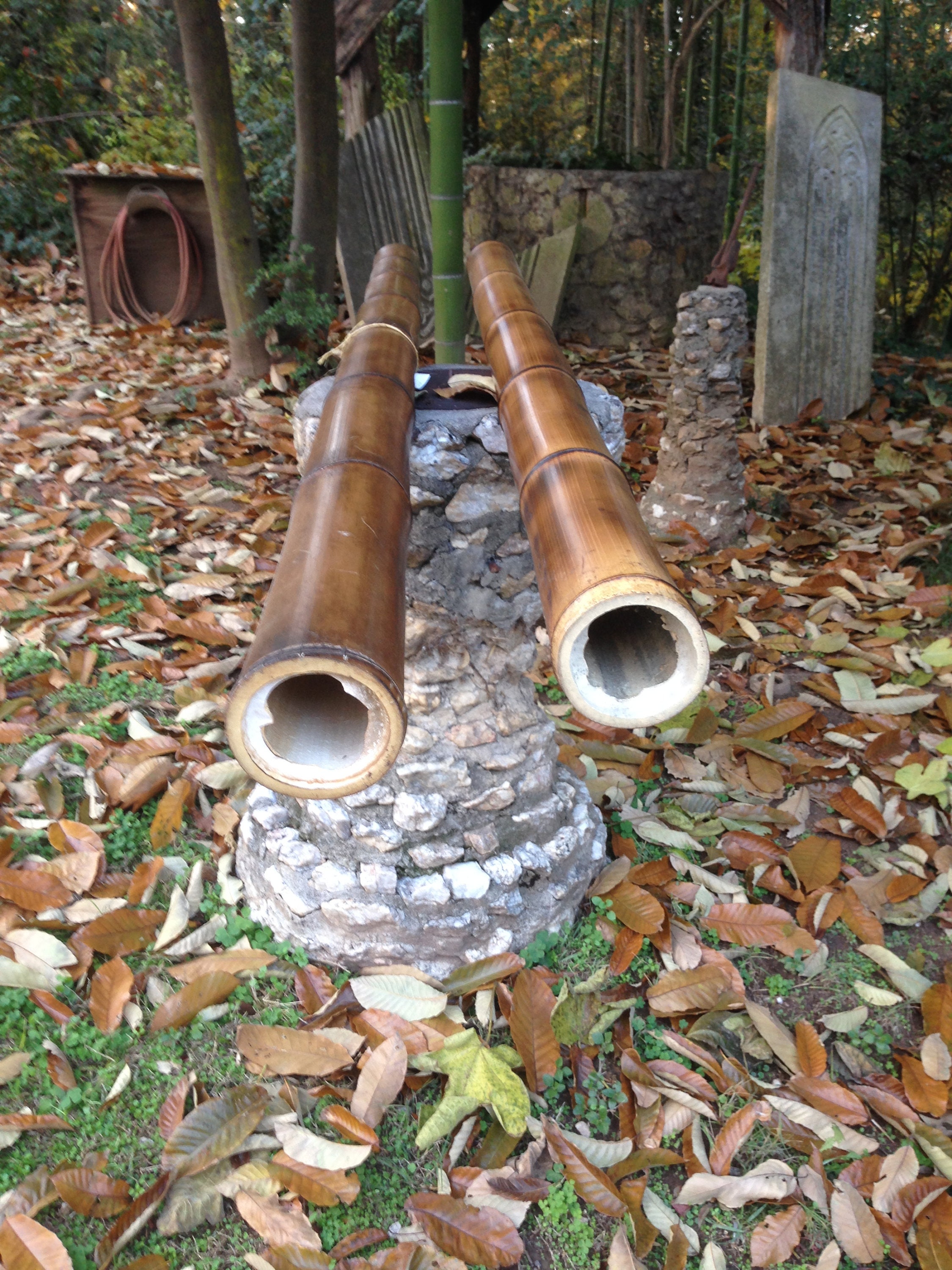 DECOR Huge 4.5 Dia. Flamed Cured Bamboo 1 Pole - Etsy