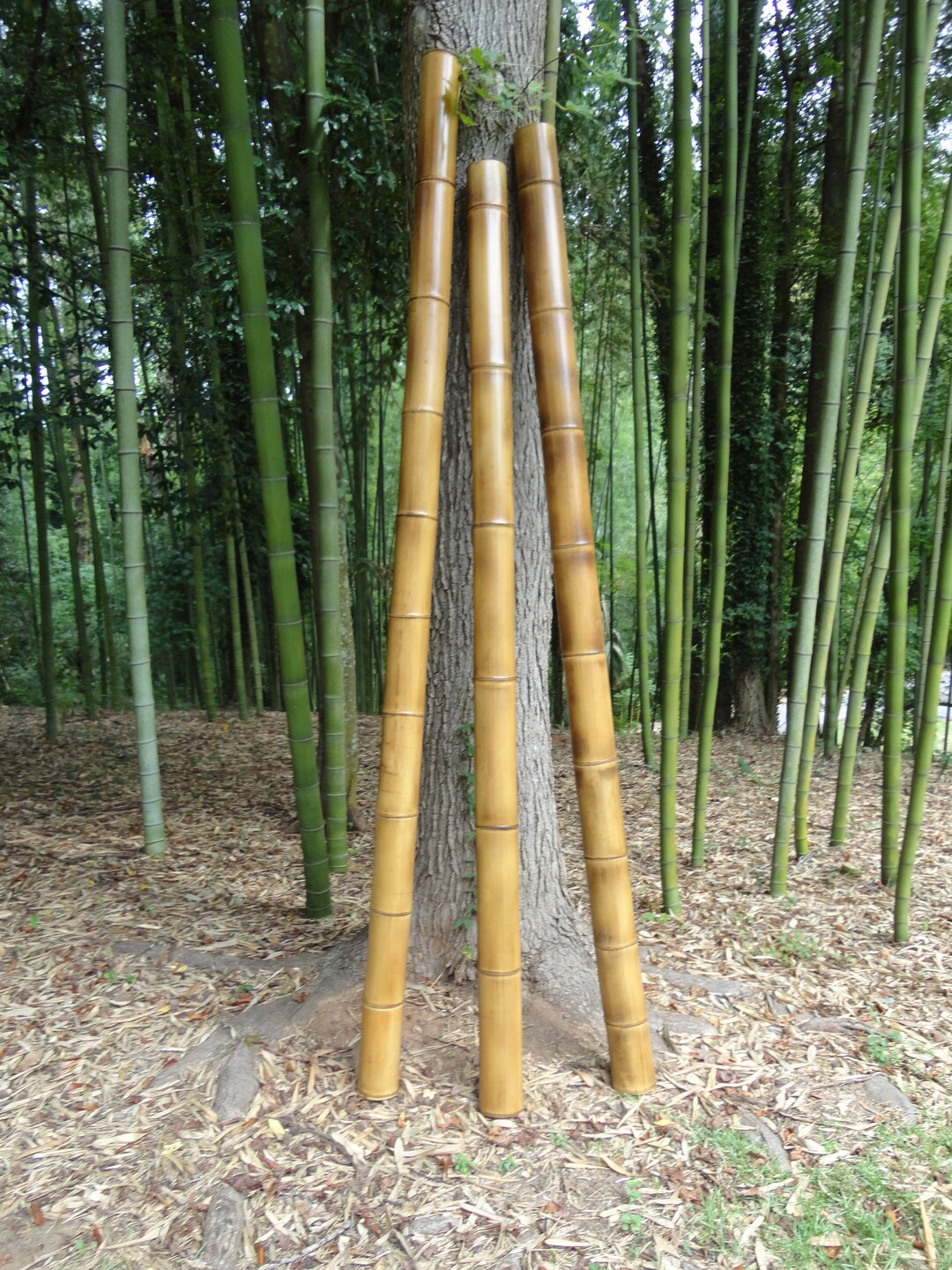 DECOR - Huge 4.5" Dia. Flamed Cured Bamboo (1) Pole (2' - 8' Lengths ...