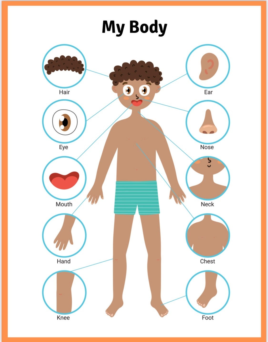My Body Parts 7 Page Activity Set - Etsy Canada