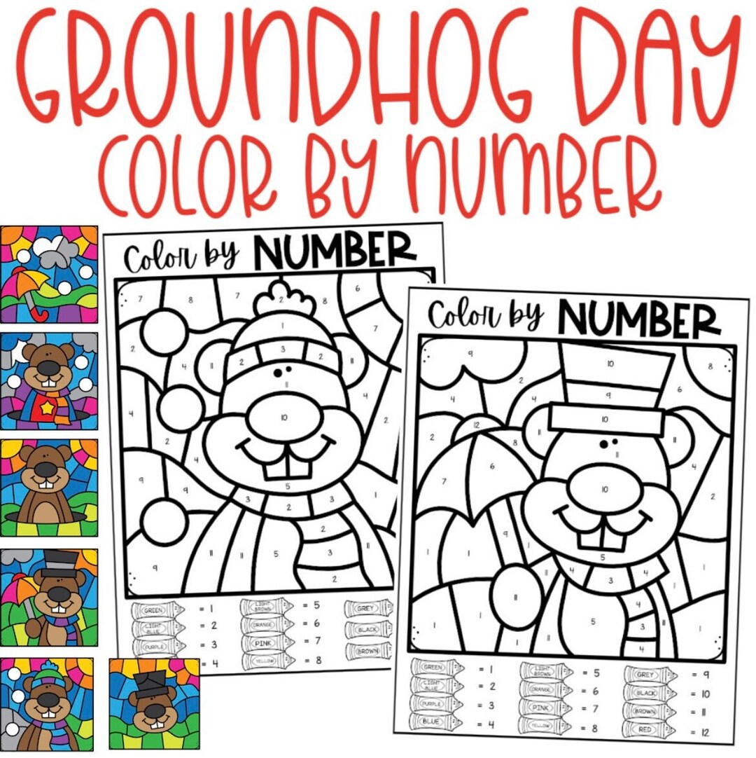 Groundhog Day Color by Number Sheets (6 Coloring Sheets) - Etsy