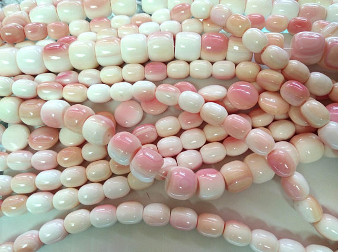 Only4x6mm Natural Pink Queen Conch Shell Barrel Drum Spacer - Etsy