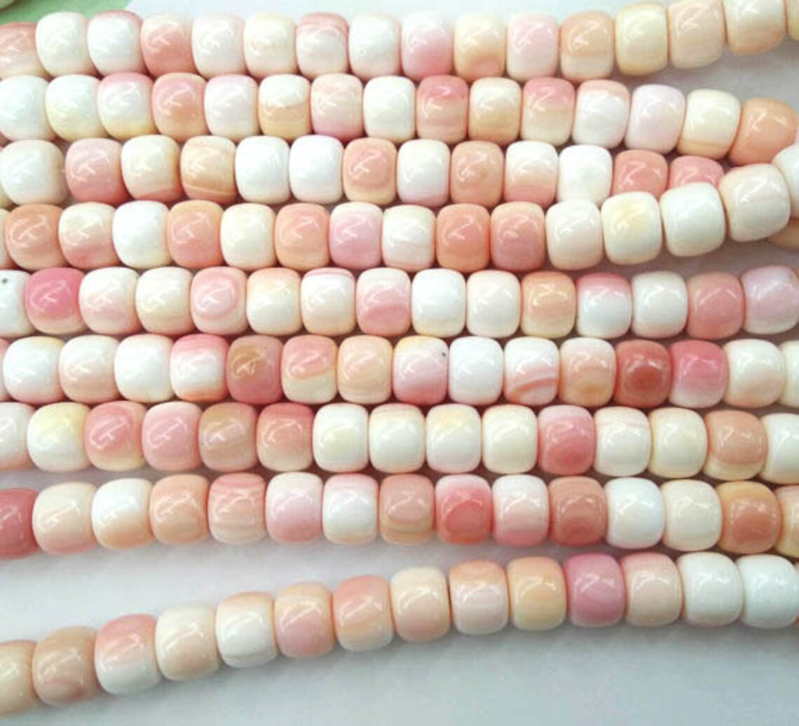 Only4x6mm Natural Pink Queen Conch Shell Barrel Drum Spacer - Etsy