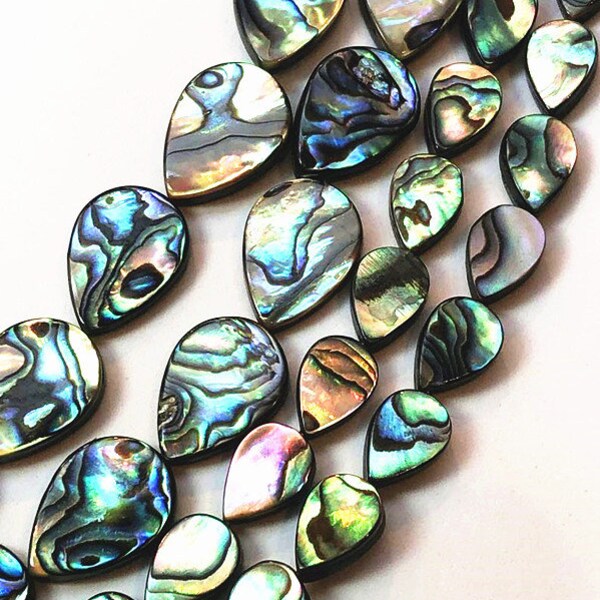 Drilled Abalone - Etsy