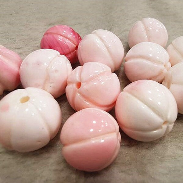 Baby Conch Shell - Etsy