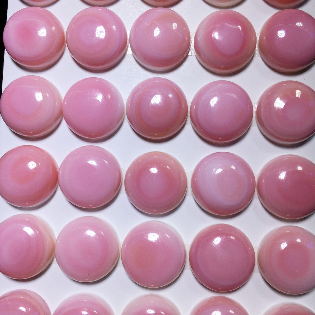 Large4pcs 15/20/25mm Genuine Pink Queen Conch Shell, Round Cabochon ...
