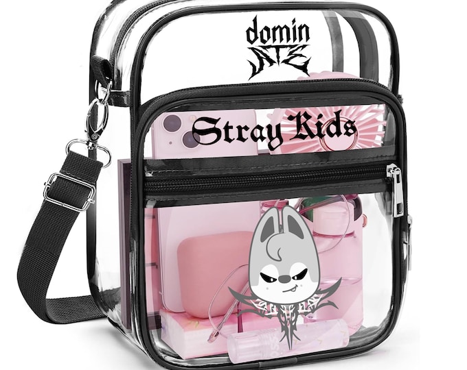 Stray Kids Dominate Stadium Tour Bag – Clear Kpop Concert Bag, SKZ Tour ...