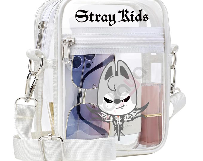 Stray Kids Dominate Stadium Tour Bag – Clear Kpop Concert Bag, SKZ Tour ...