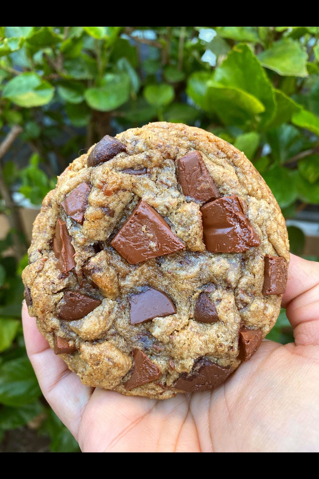 Chewy Chocolate Chunk Cookies/ Gourmet Chocolate Chip Cookies/ Homemade ...