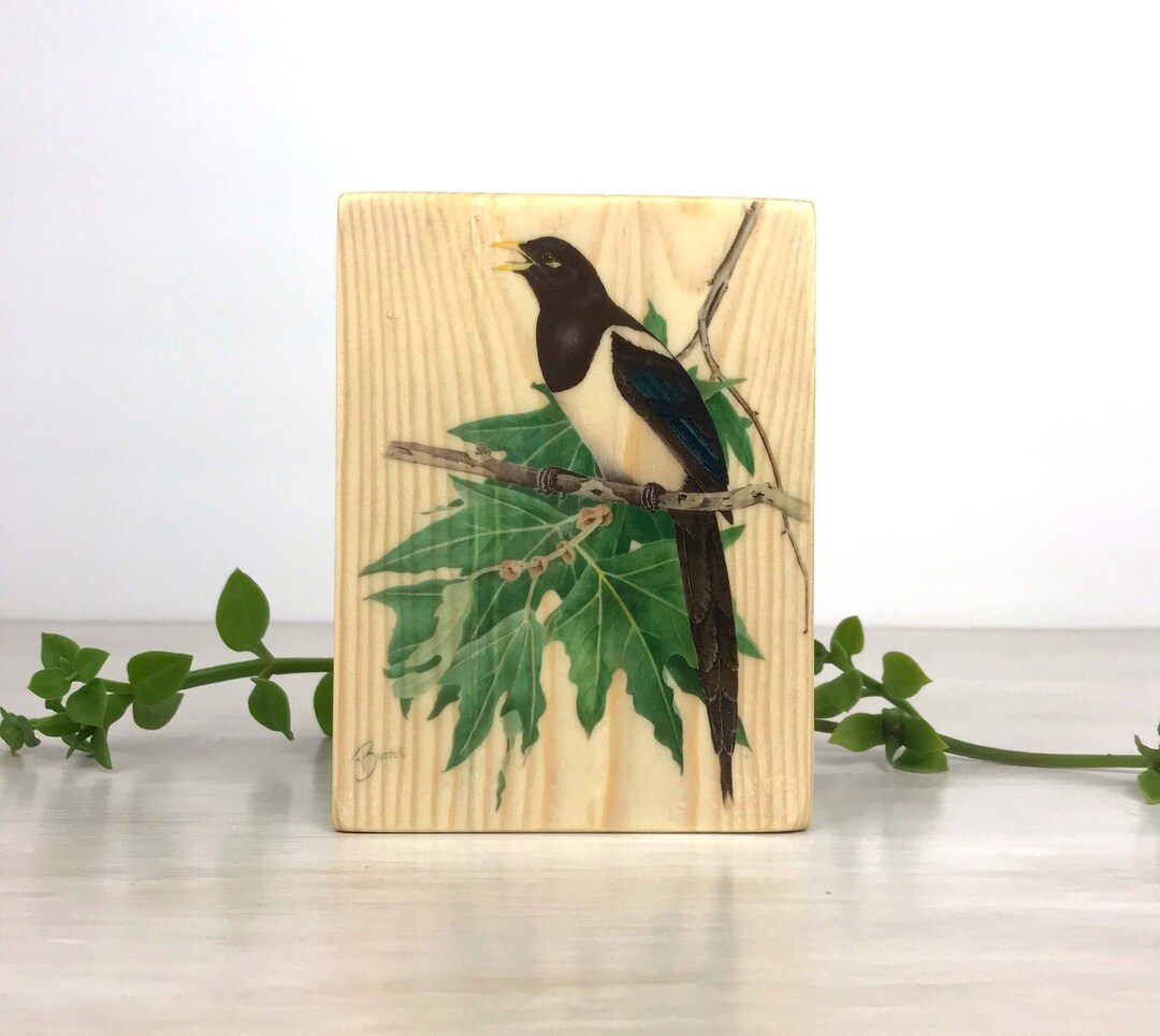 Yellow Billed Magpie Wood Panel, Yellow Billed Magpie Wood Print ...
