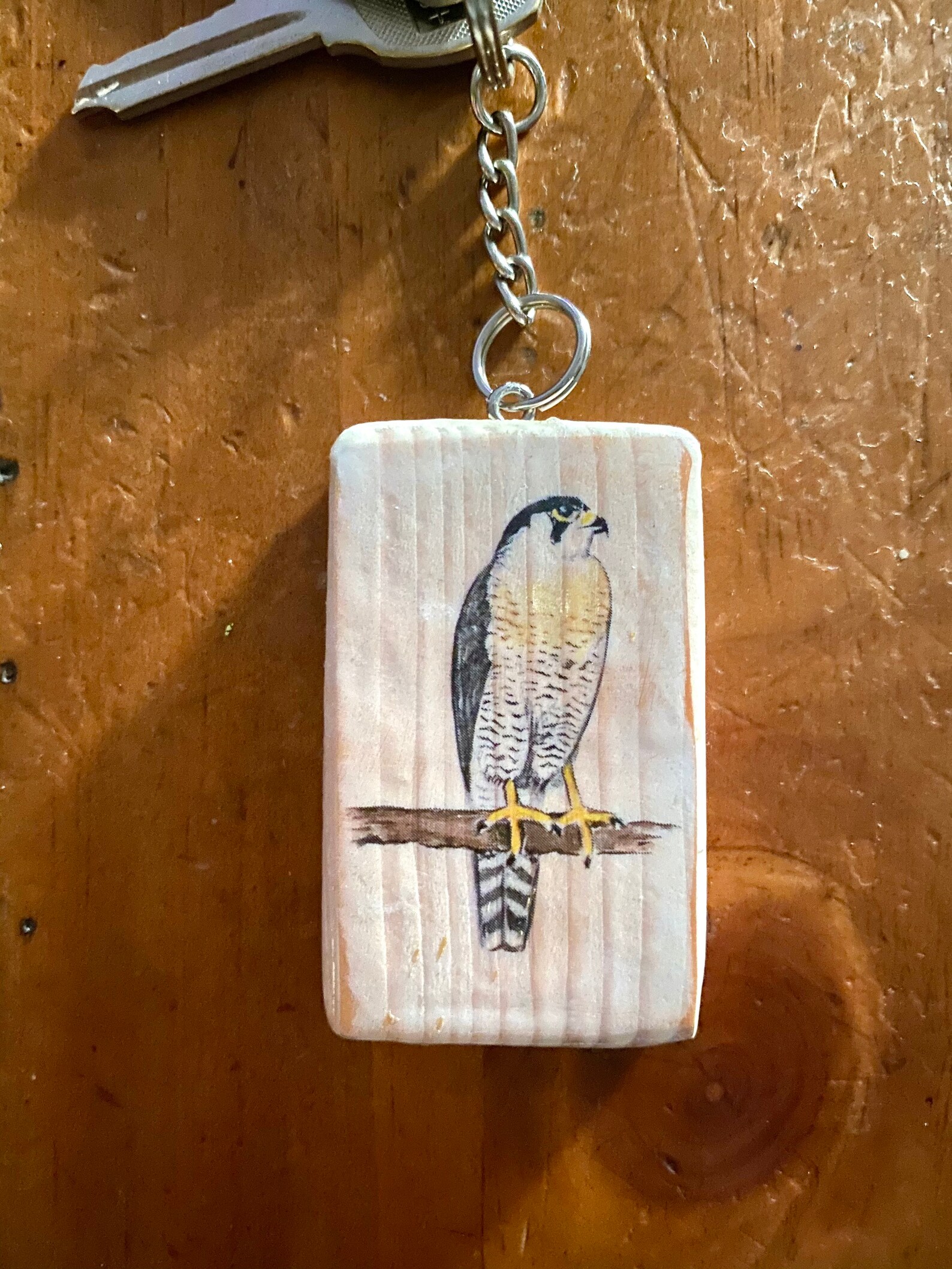 Peregrine Falcon Keychain - Etsy