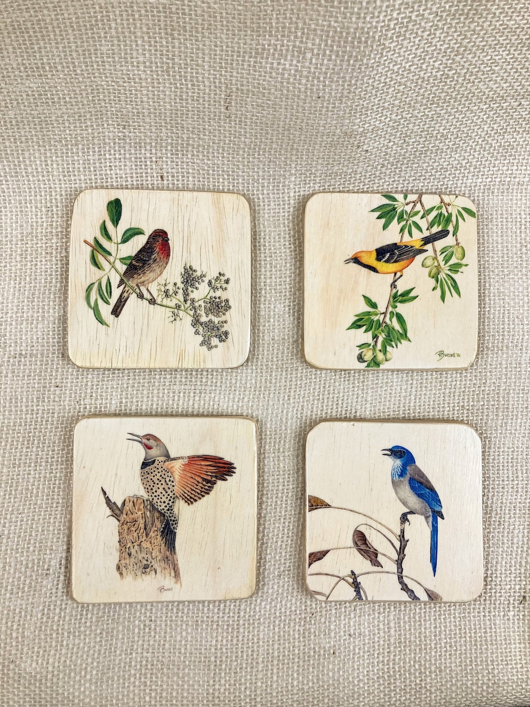 Backyard Bird Coasters - Etsy