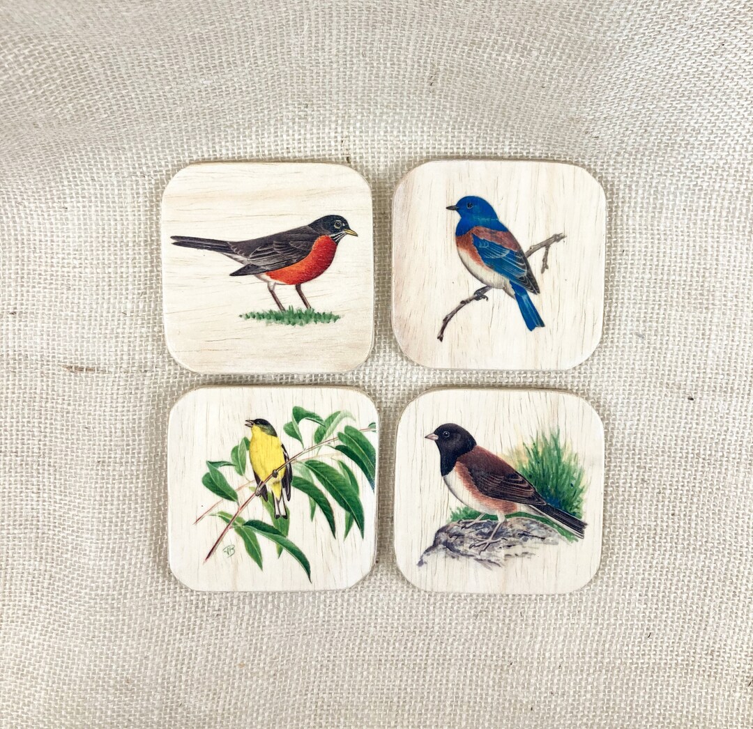 Bird Coasters, Set of 4, American Robin, Western Bluebird, Lesser ...