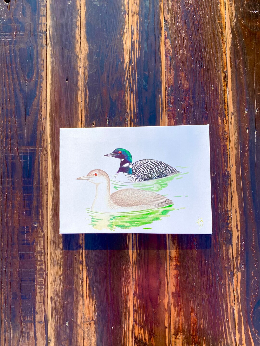 Impression sur toile common Loon - Etsy France