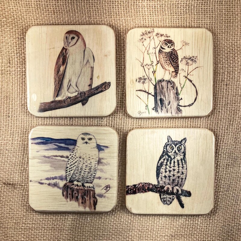 Owl Coasters - Etsy