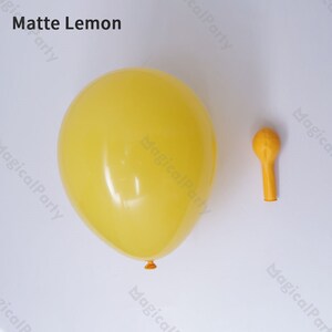 146pcs Maca Yellow Balloon Garland Kit Two Groovy Daisy Flower Balloon ...