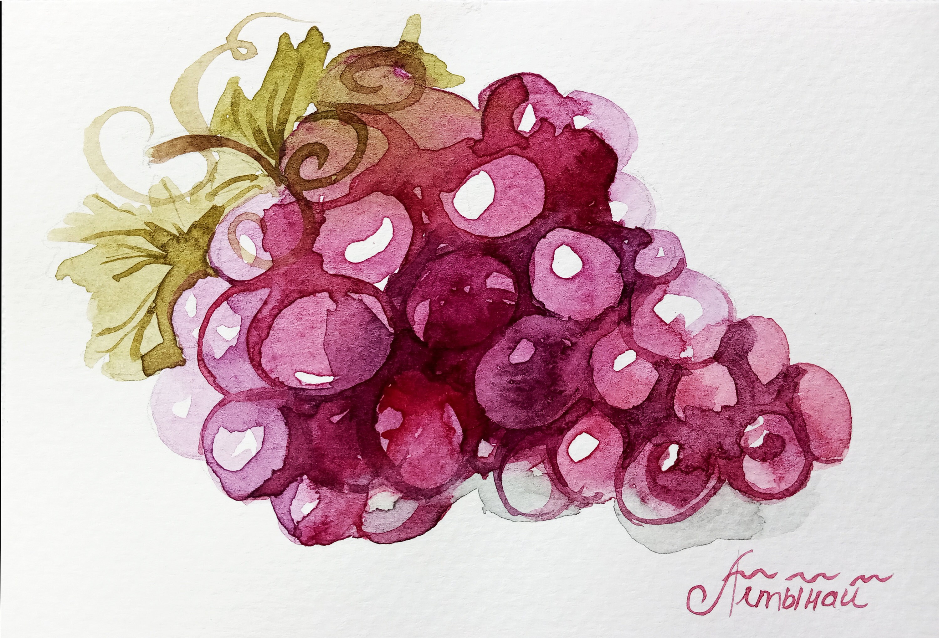 Grapes Watercolor Painting Vine Grapes Original Art Fruit 5.9 | Etsy