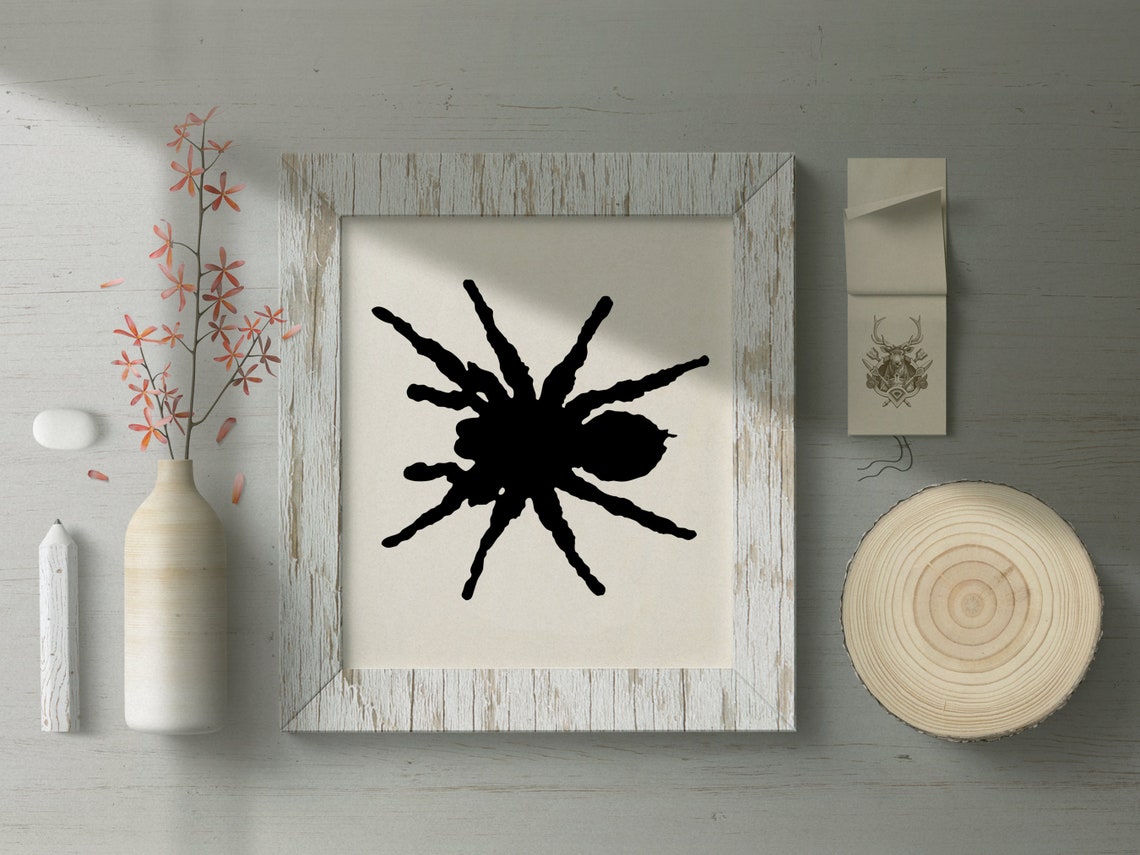 Spider SVG Bundle, Spider SVG, Halloween Svg, Insect Svg, Png, Svg ...