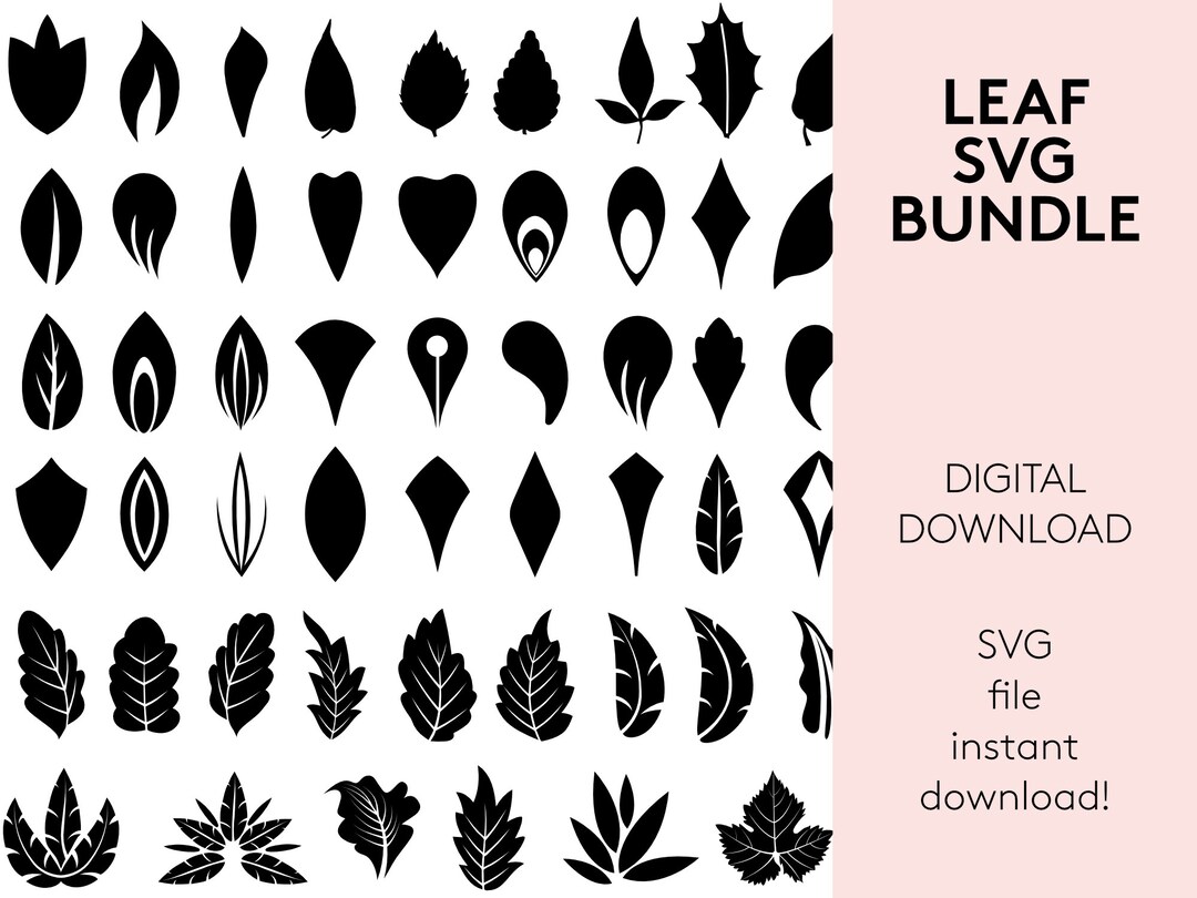 Leaf SVG Bundle - Etsy