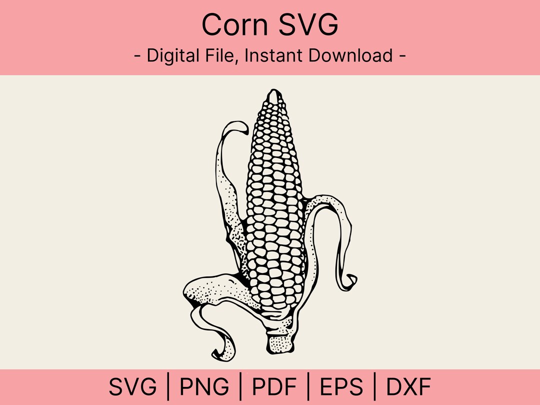 Corn SVG, Vintage Corn SVG File, Corn Design for Crafting, Vector Cut ...