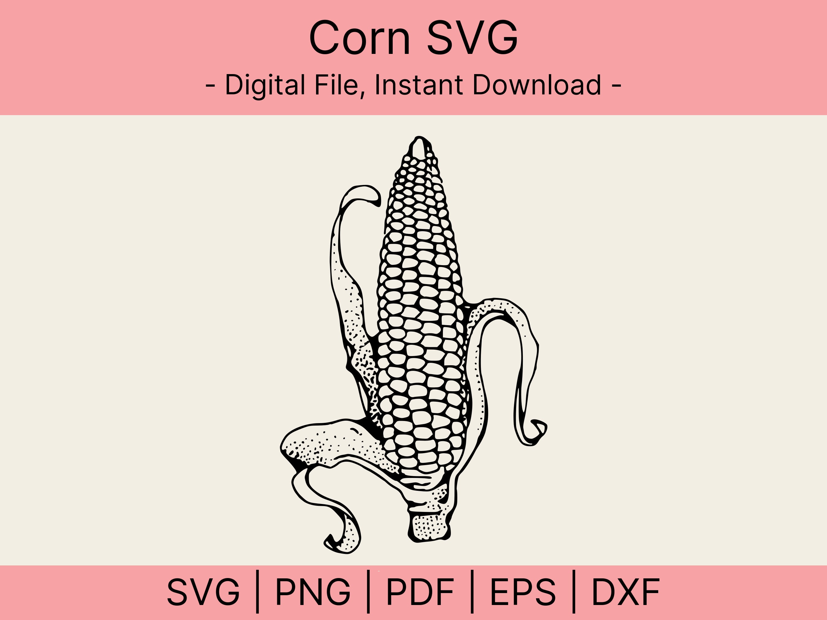 Corn SVG, Vintage Corn SVG File, Corn Design for Crafting, Vector Cut ...