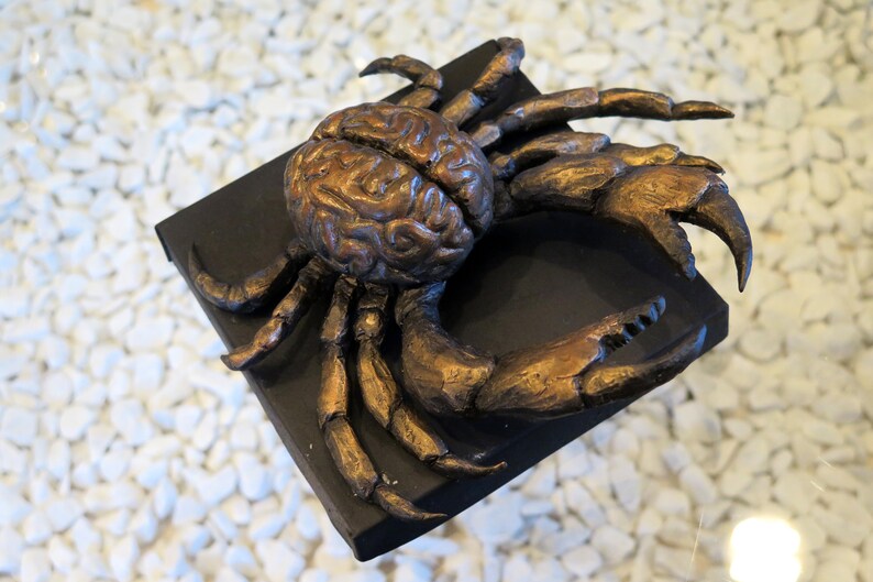 Crab-brain Brain Crab - Etsy