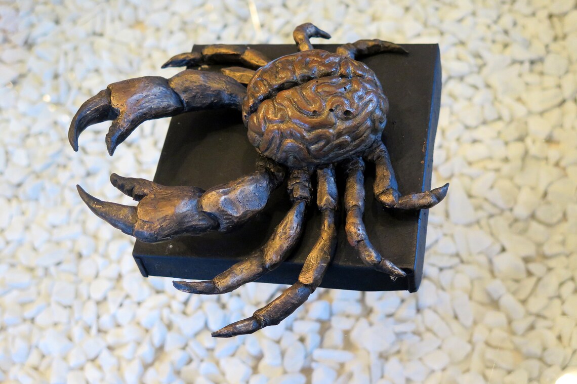 Crab-brain Brain Crab - Etsy