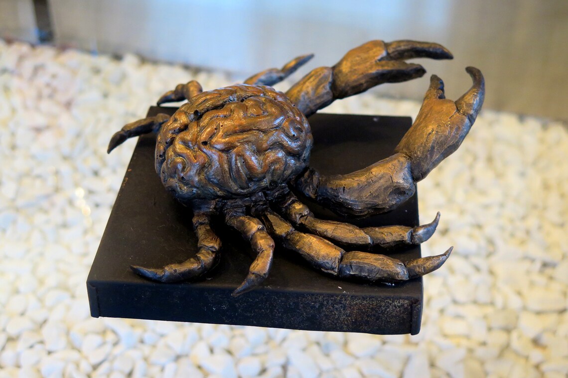 Crab-brain Brain Crab - Etsy